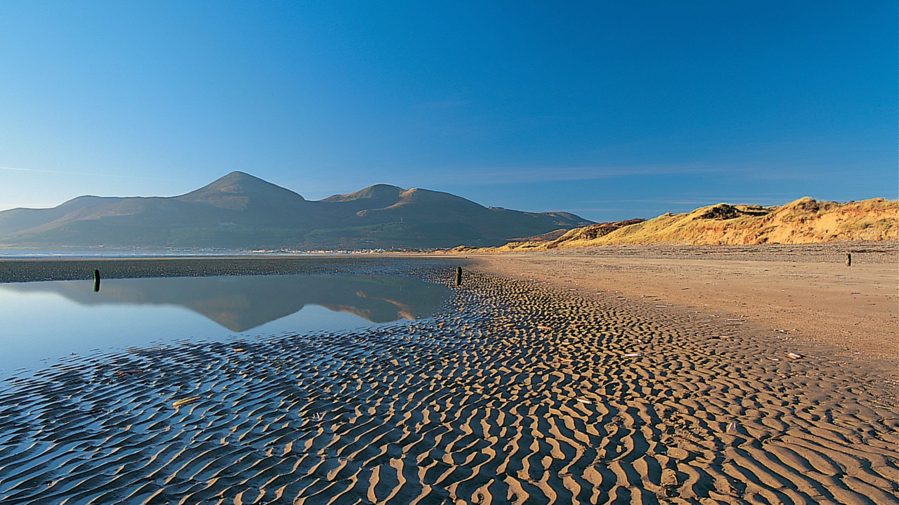 Murlough National Nature Reserve | National Trust