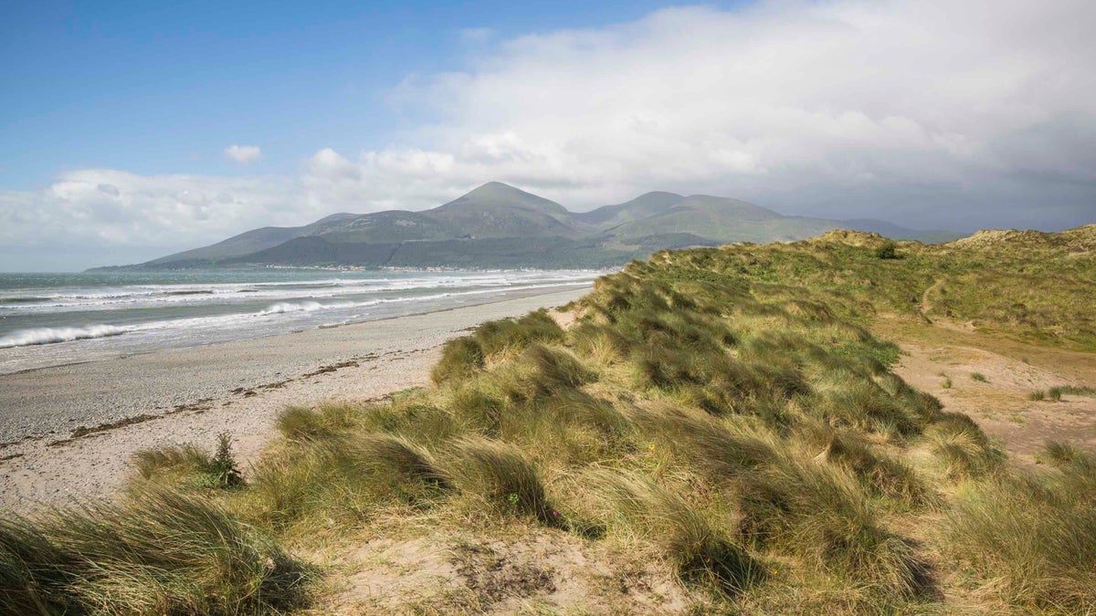 Murlough National Nature Reserve | National Trust