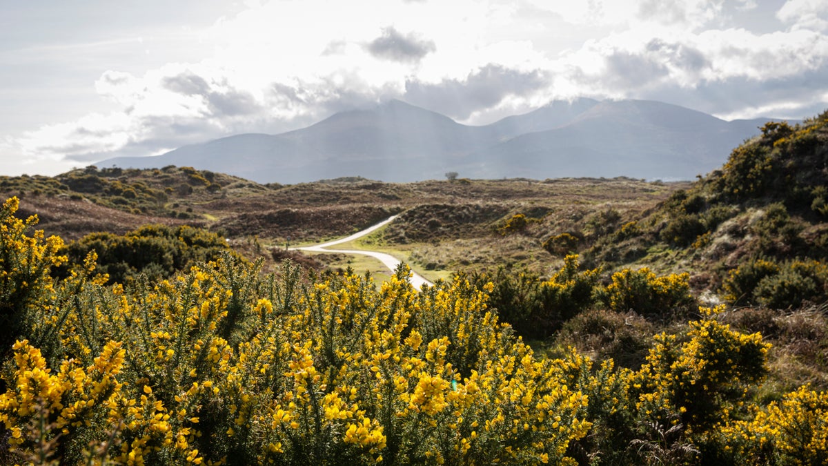 Nature conservation | National Trust | National Trust