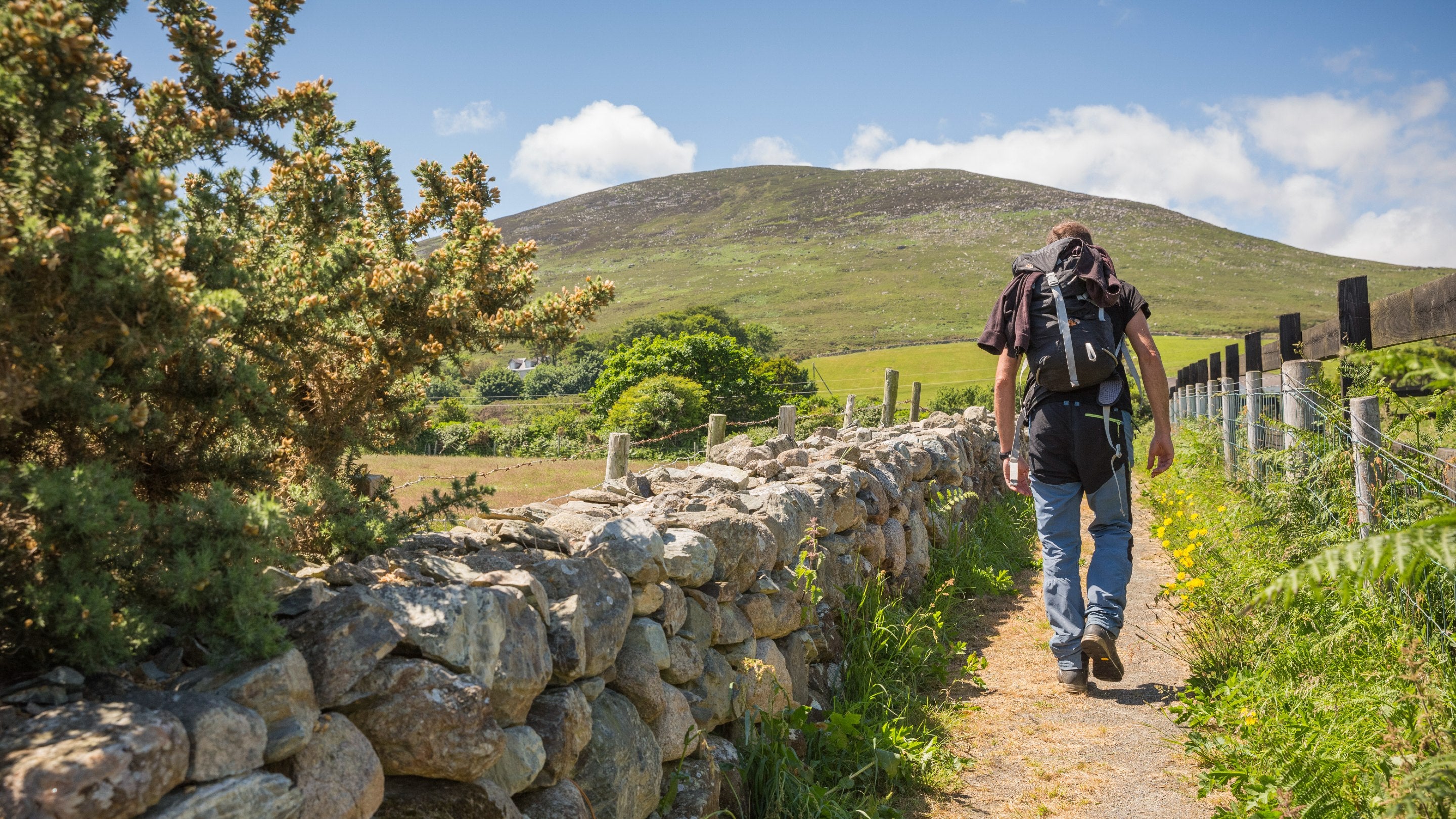 Murlough North Point nature trail | National Trust