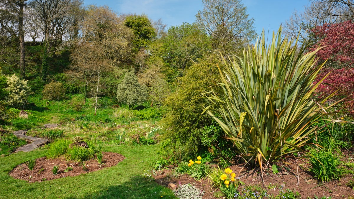 Bishop's Gate Garden │ N. Ireland | National Trust