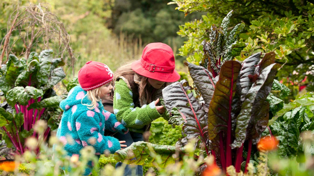 Visiting Rowallane Garden | Co. Down | National Trust