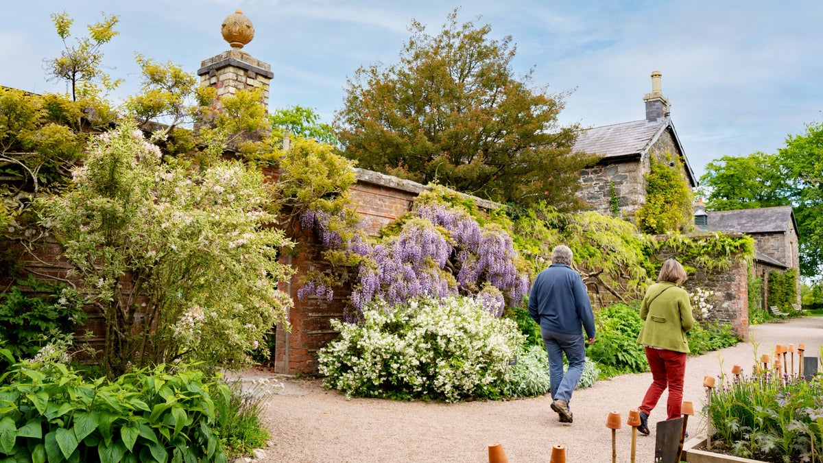 Gardens and parks in Northern Ireland | National Trust