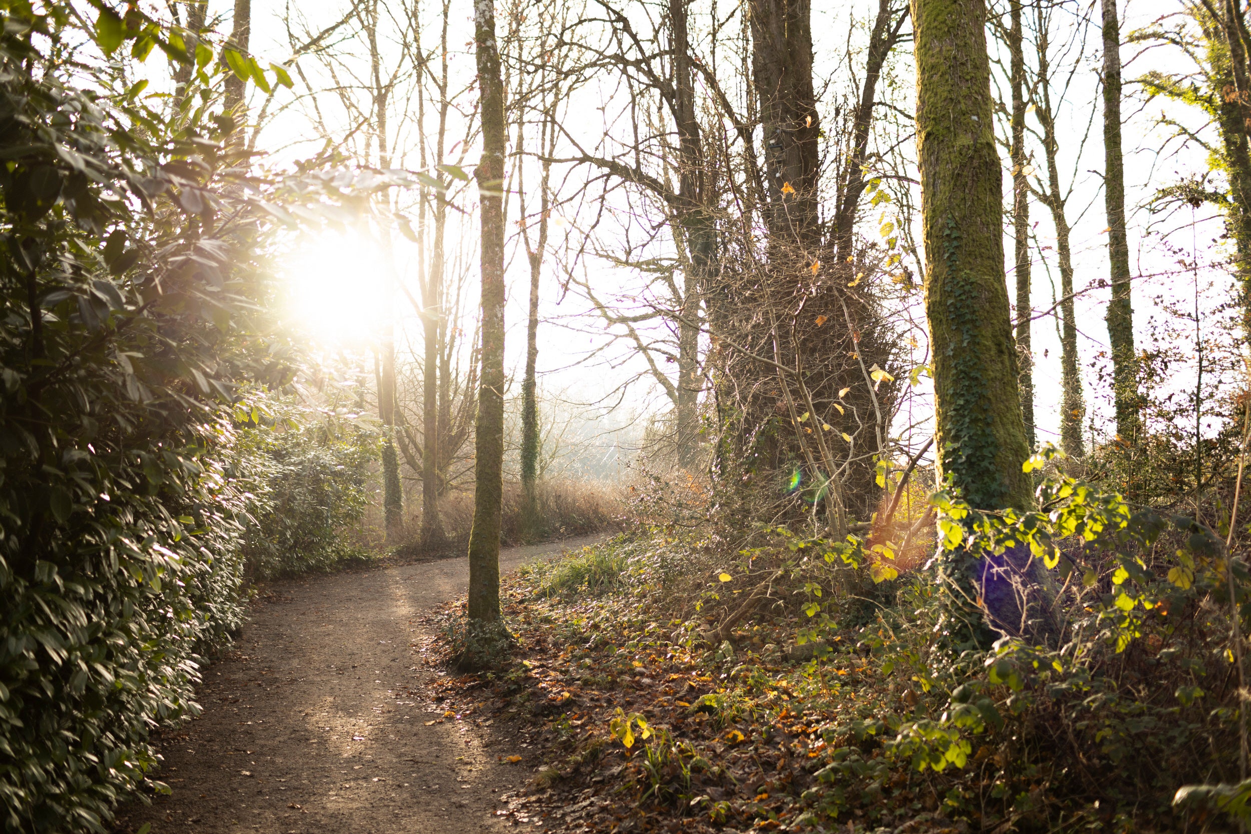 Divis mountain summit trail | Belfast | National Trust