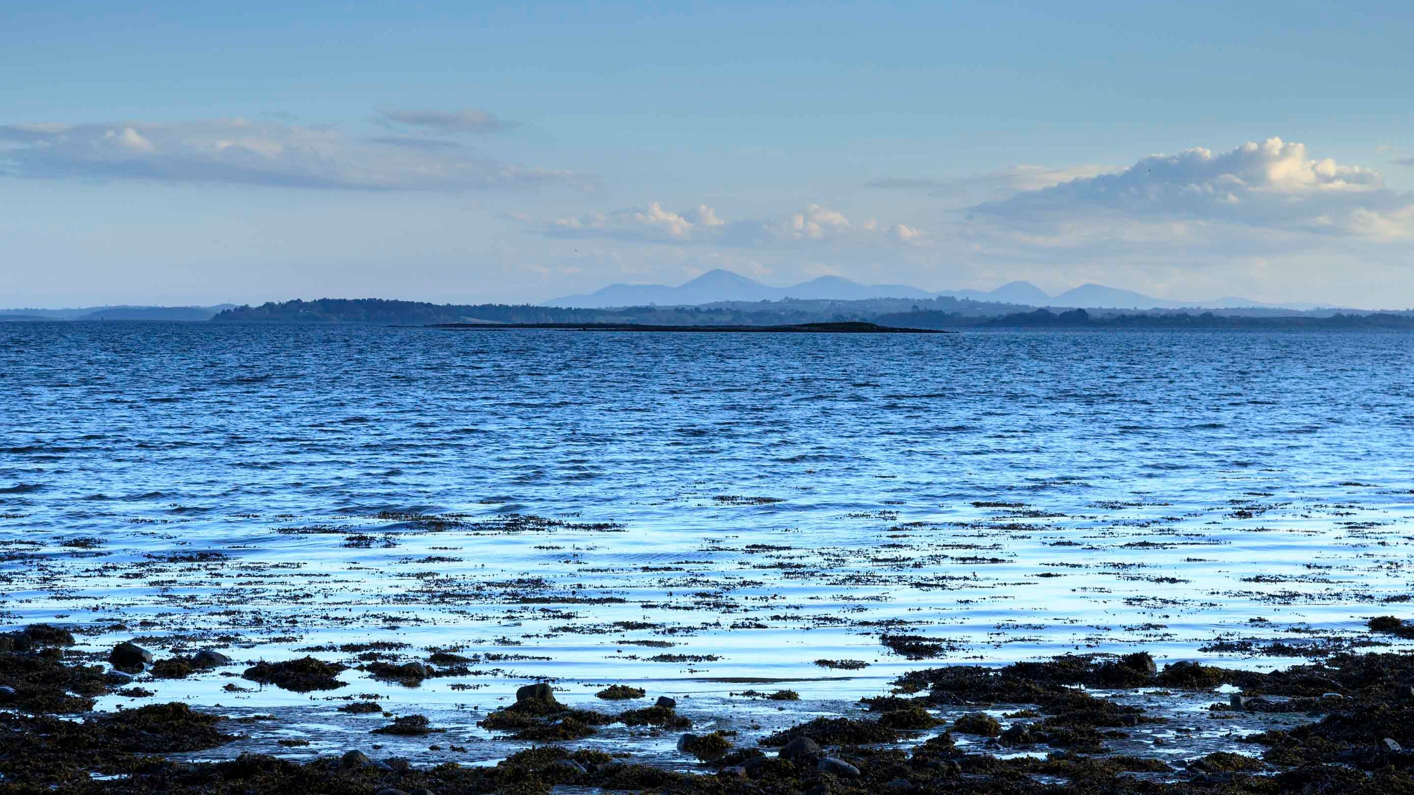 Canoeing and kayaking at Strangford Lough | National Trust