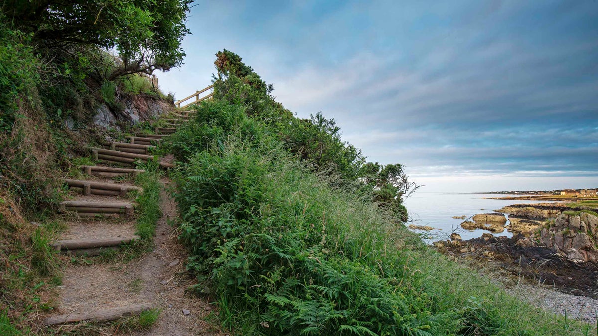 Visiting Strangford Lough | National Trust