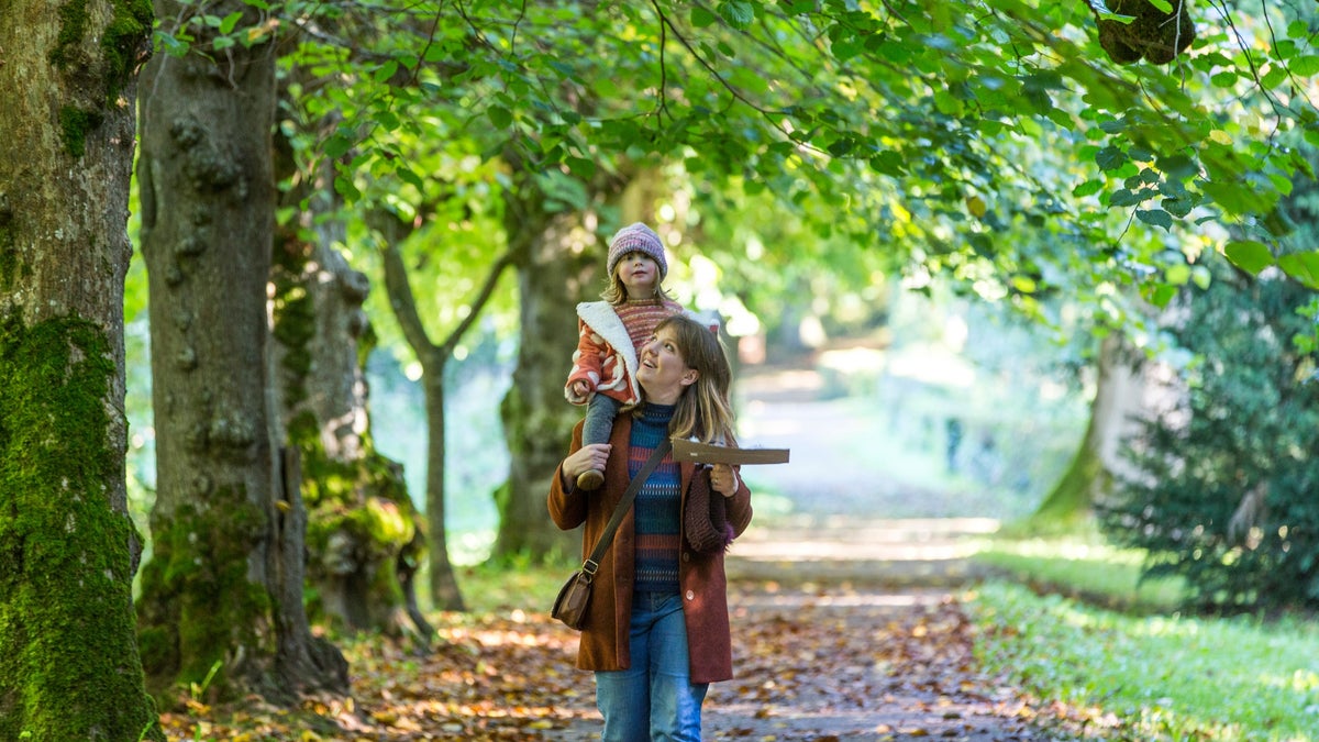 The Argory Lime Tree Walk | County Armagh | National Trust