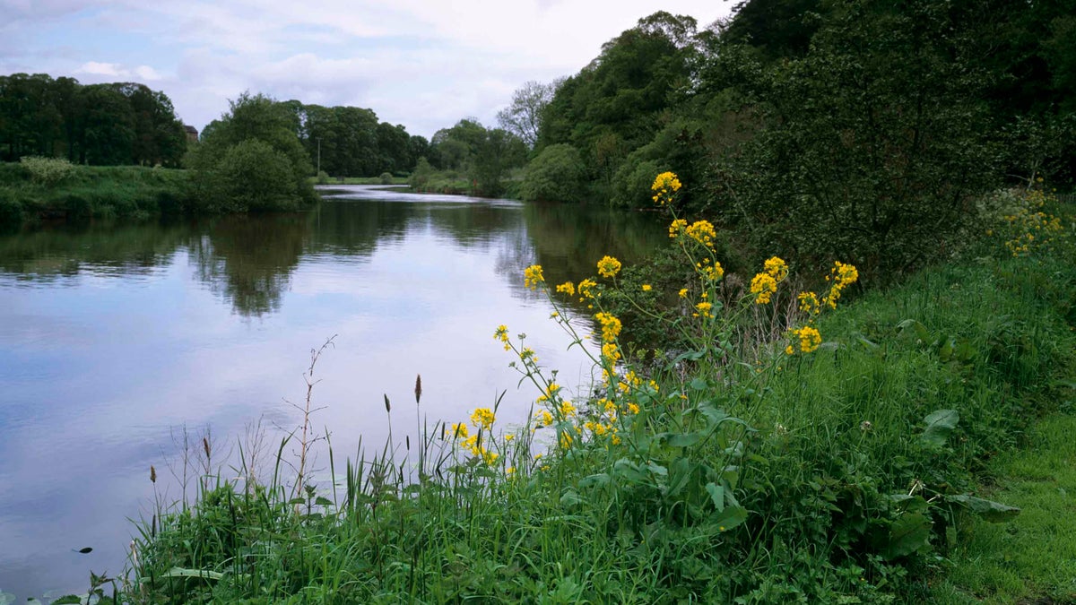 River walk at The Argory | Co. Armagh | National Trust