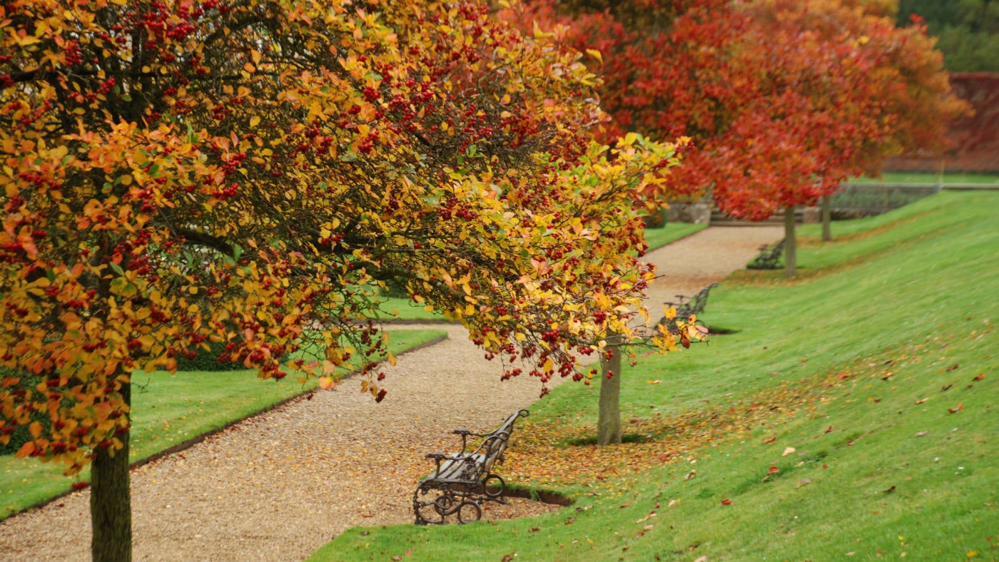 Visiting Belton's gardens | Lincolnshire | National Trust