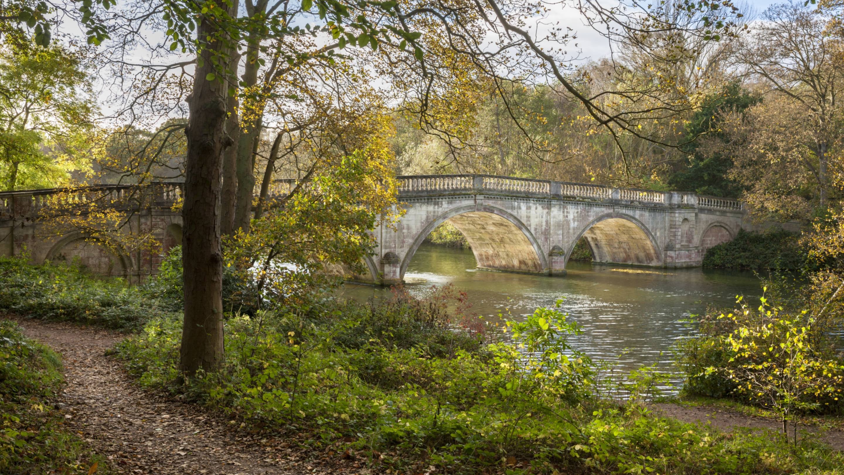 Our work outdoors at Clumber Park │ Notts | National Trust