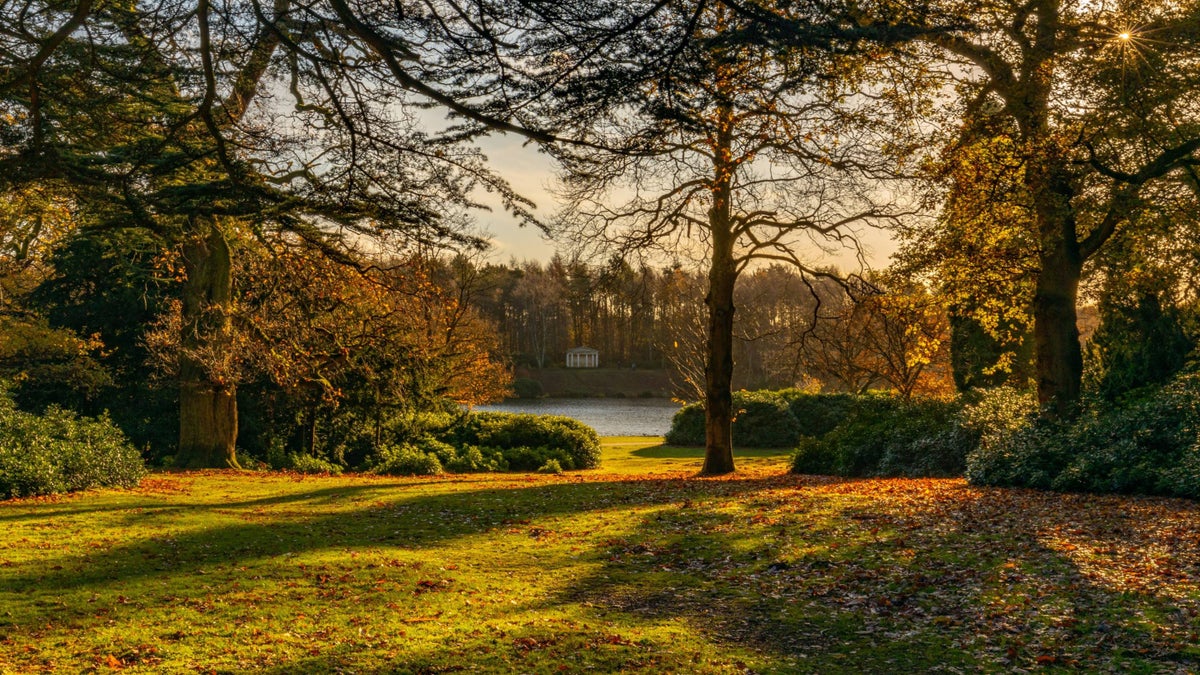 Clumber Park history walk | Nottinghamshire | National Trust