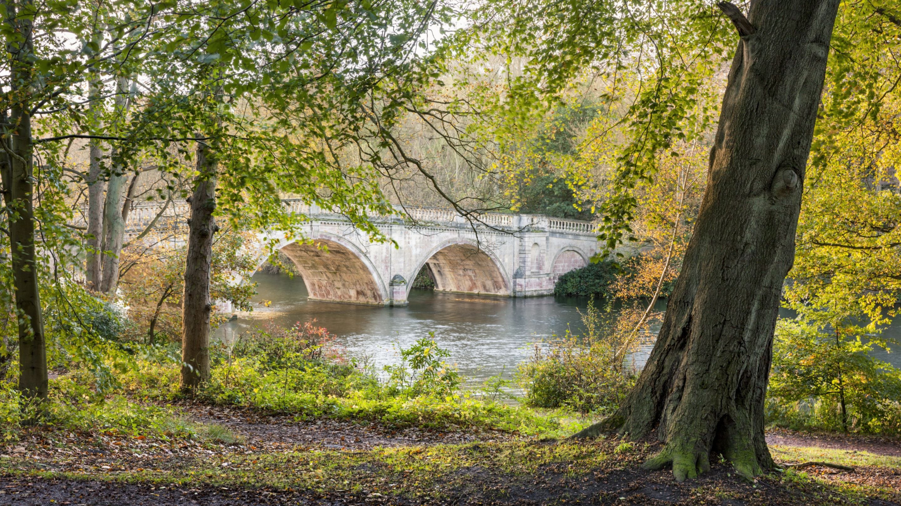 Clumber Park | Nottinghamshire | National Trust