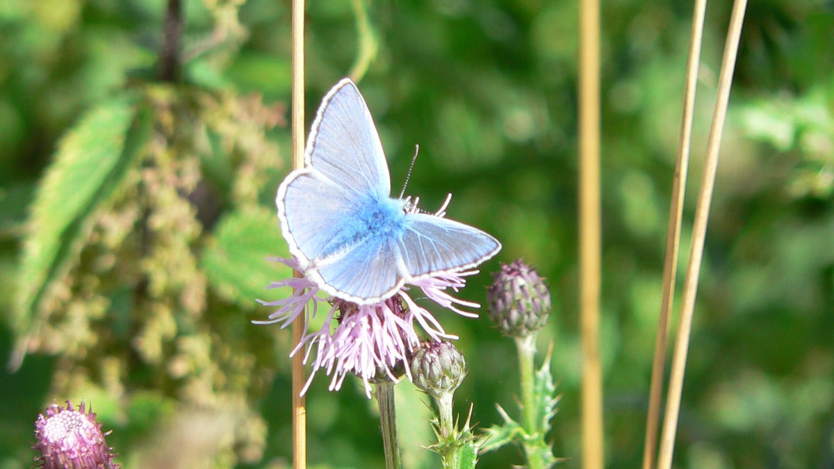 Clumber all seasons walk | Nottinghamshire | National Trust