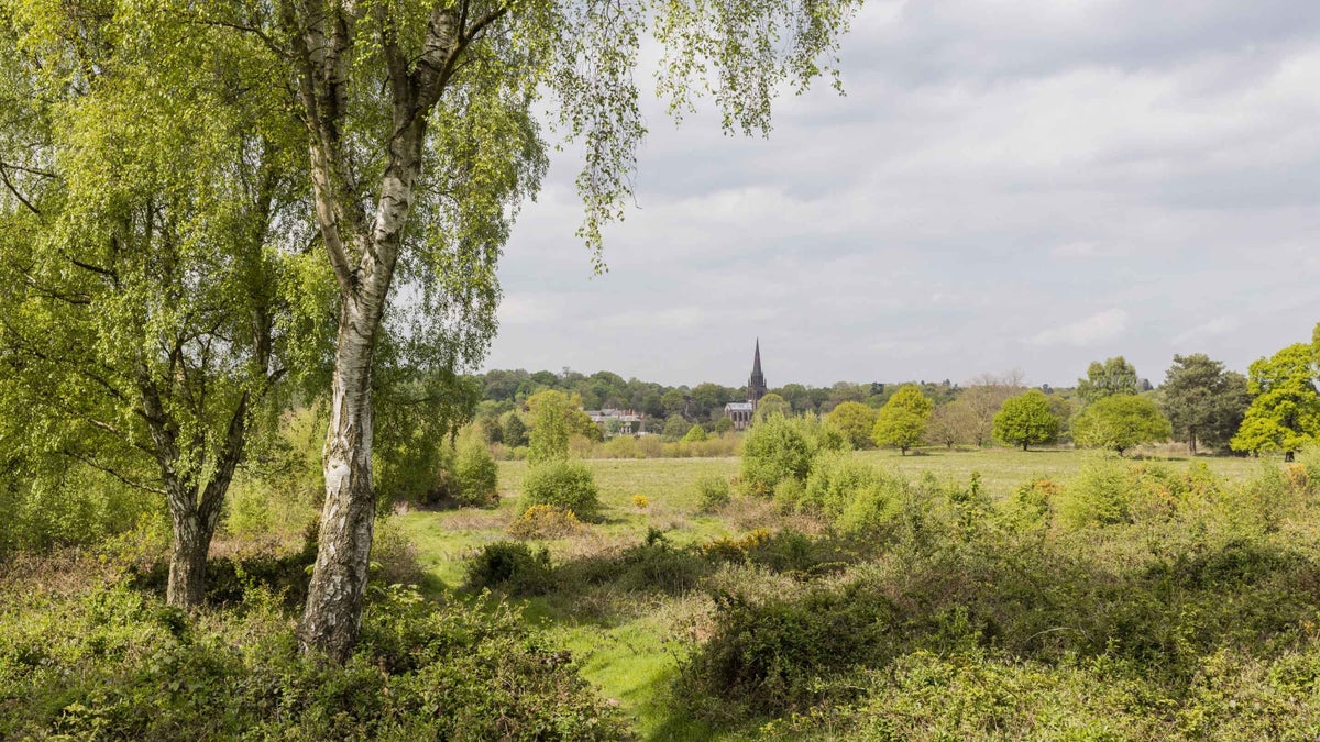Top walks in Notts and Lincolnshire | National Trust