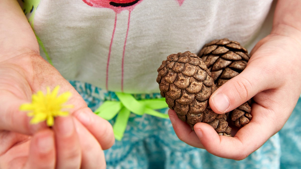 Family-friendly things to do at Clumber | National Trust