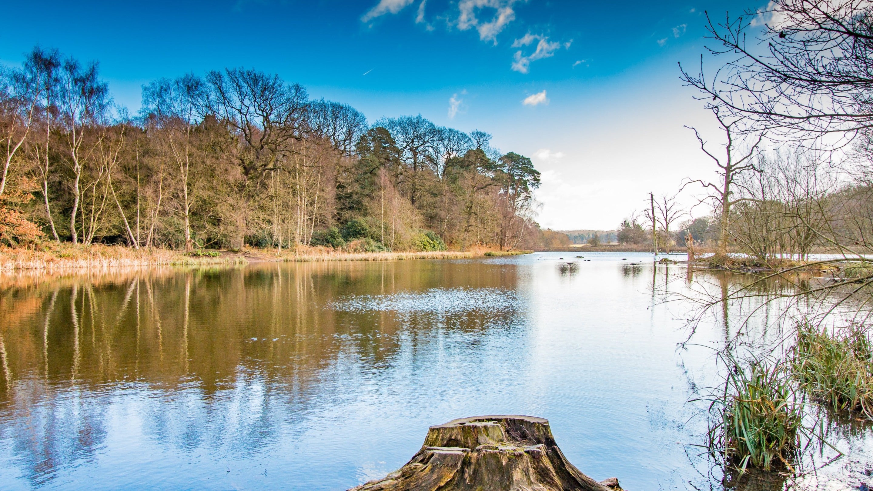 Clumber Park | Nottinghamshire | National Trust