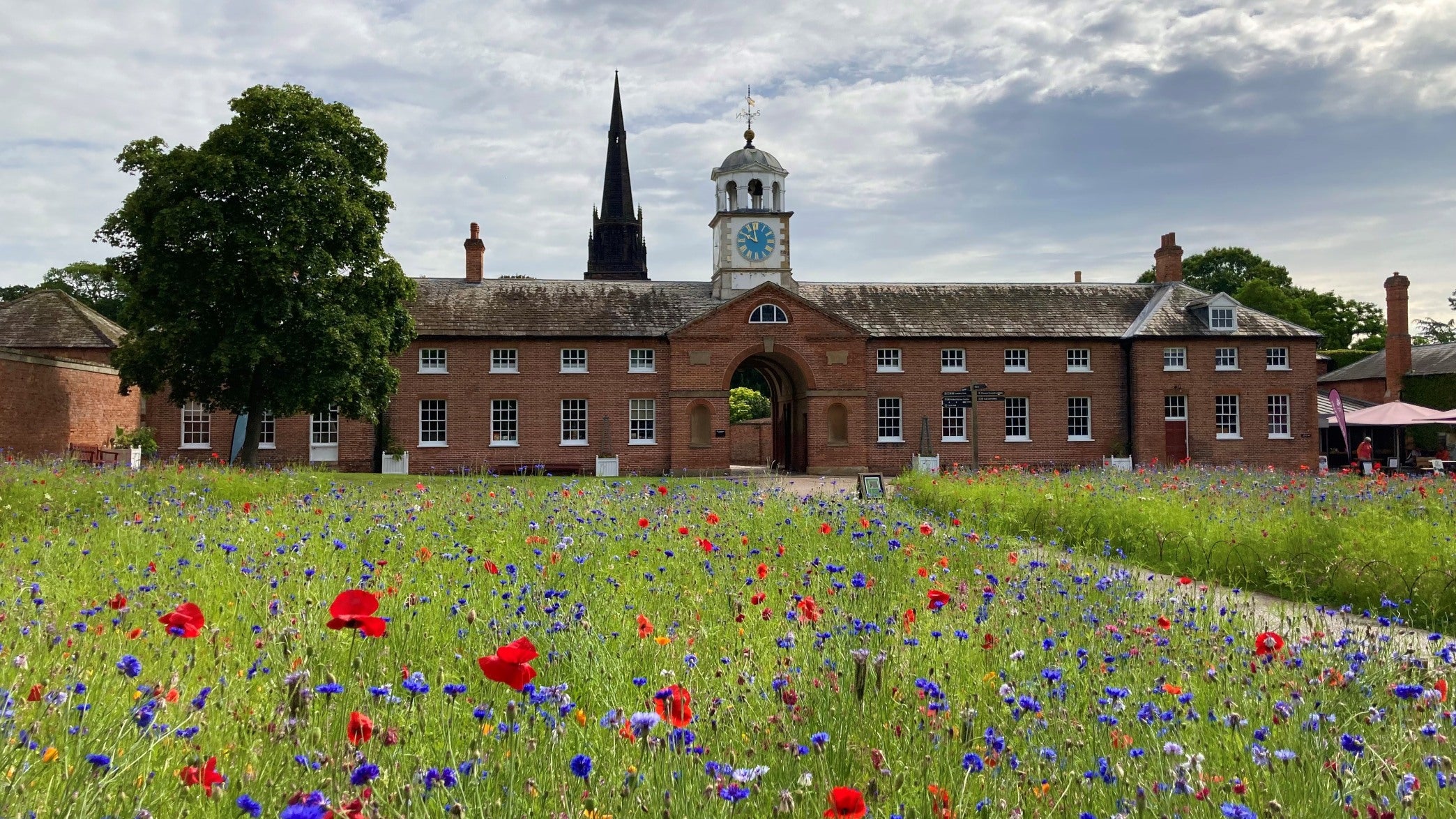 Worksop walk from Mr Straw's House | Notts | National Trust