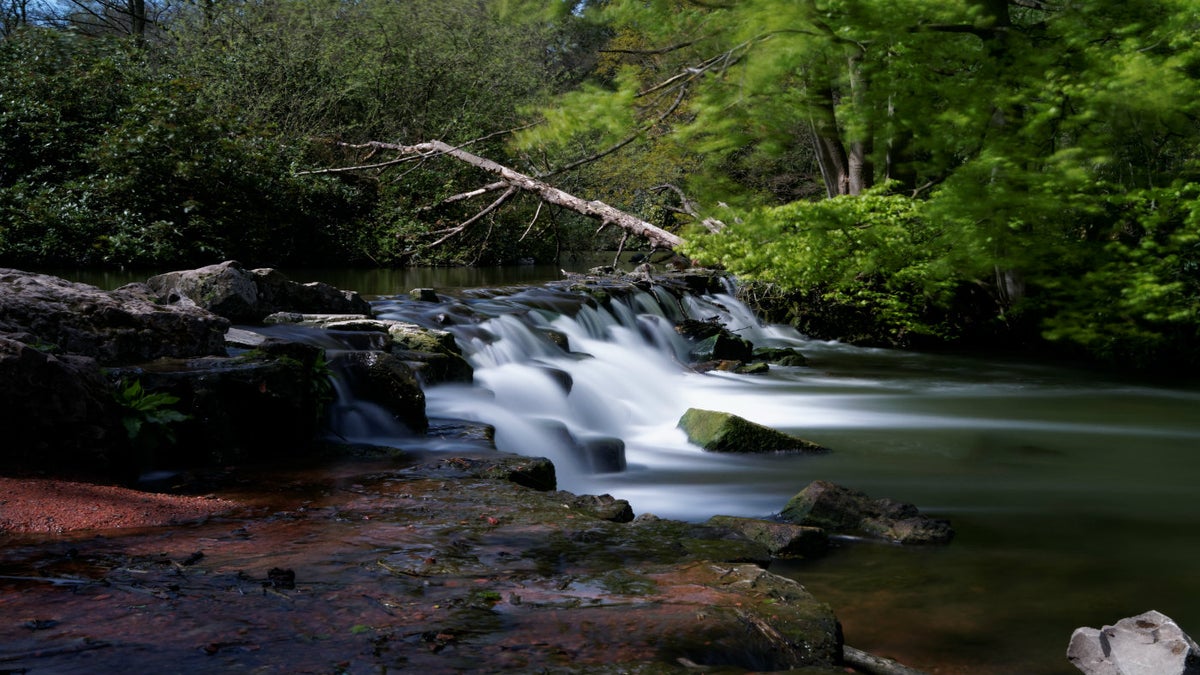 The Robin Hood Way at Clumber Park | Notts | National Trust