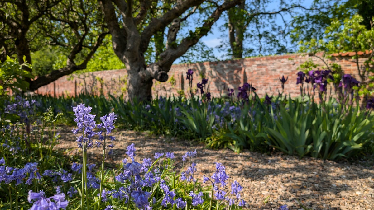 Grantham House gardens | Lincolnshire | National Trust