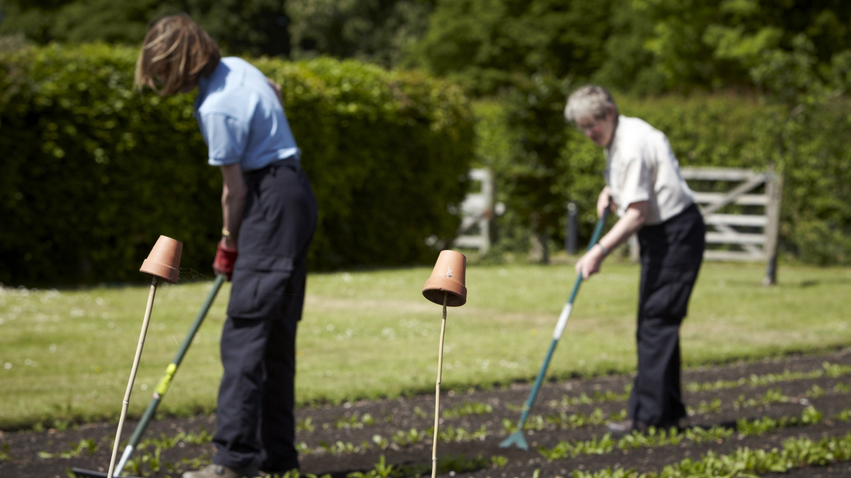 Garden at The Workhouse | Nottinghamshire | National Trust
