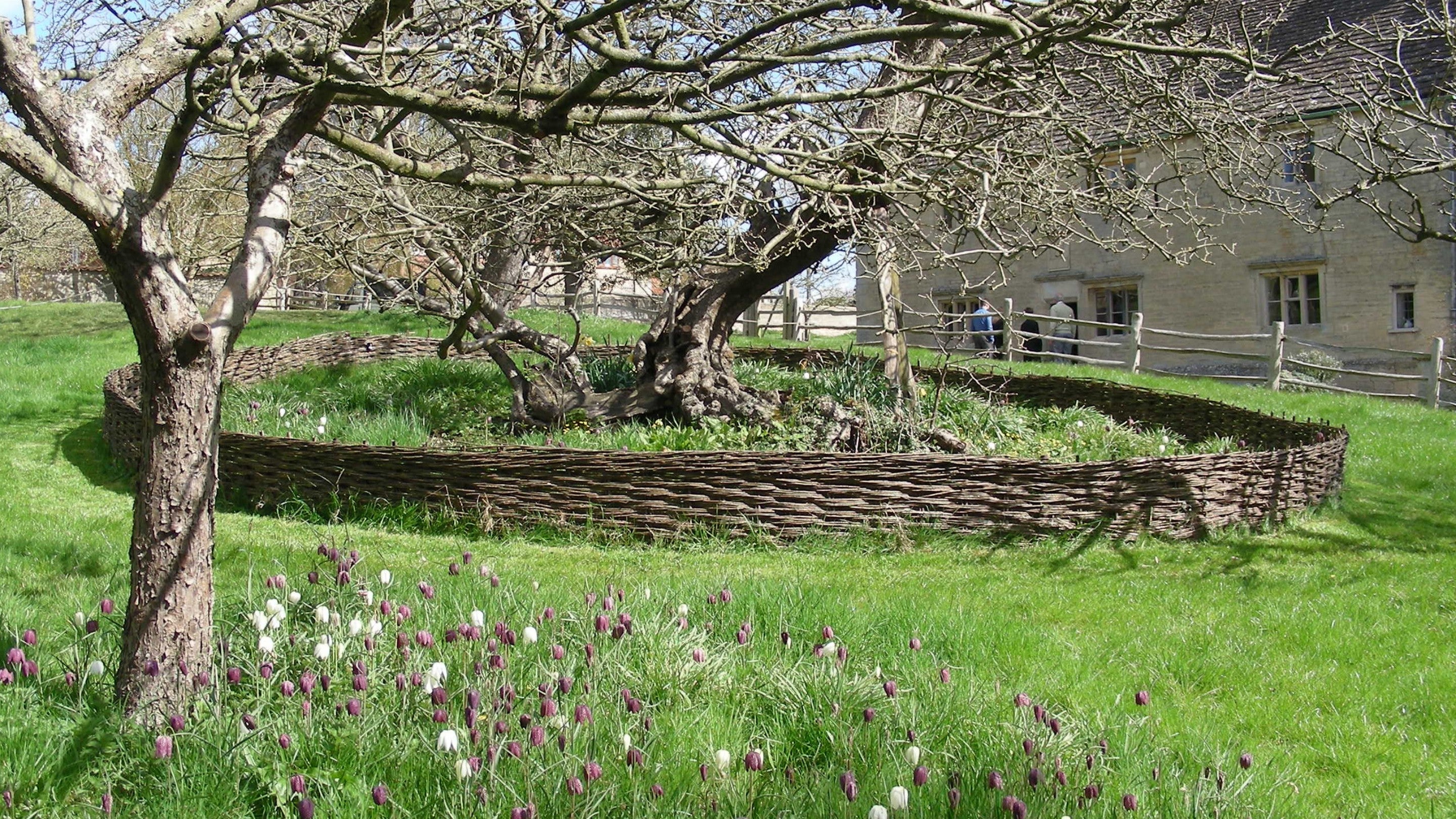 Visiting Woolsthorpe Manor | Lincolnshire | National Trust