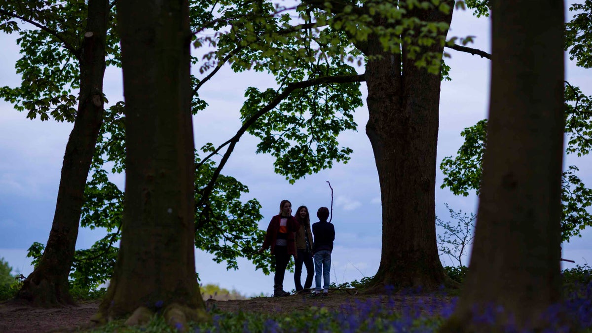 Visiting Badbury | Oxfordshire | National Trust