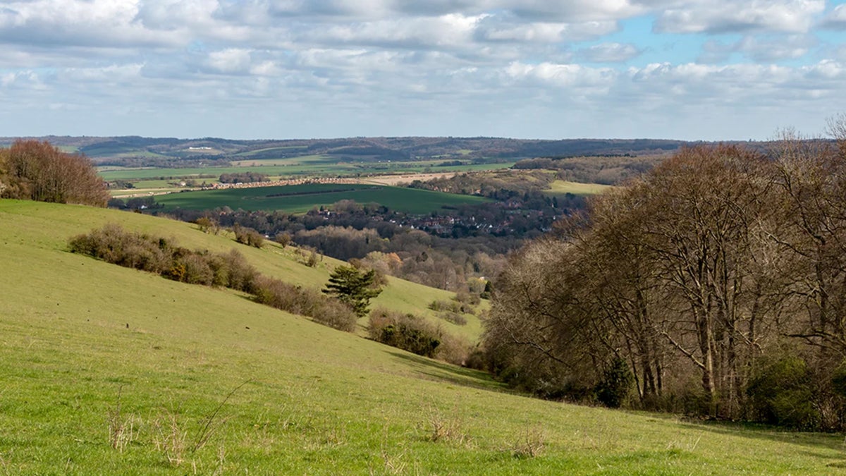 Meadows and woodlands of Streatley walk | National Trust