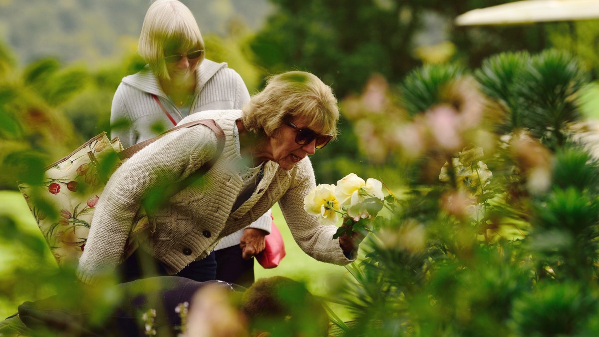 The garden at Basildon Park │ Berkshire | National Trust