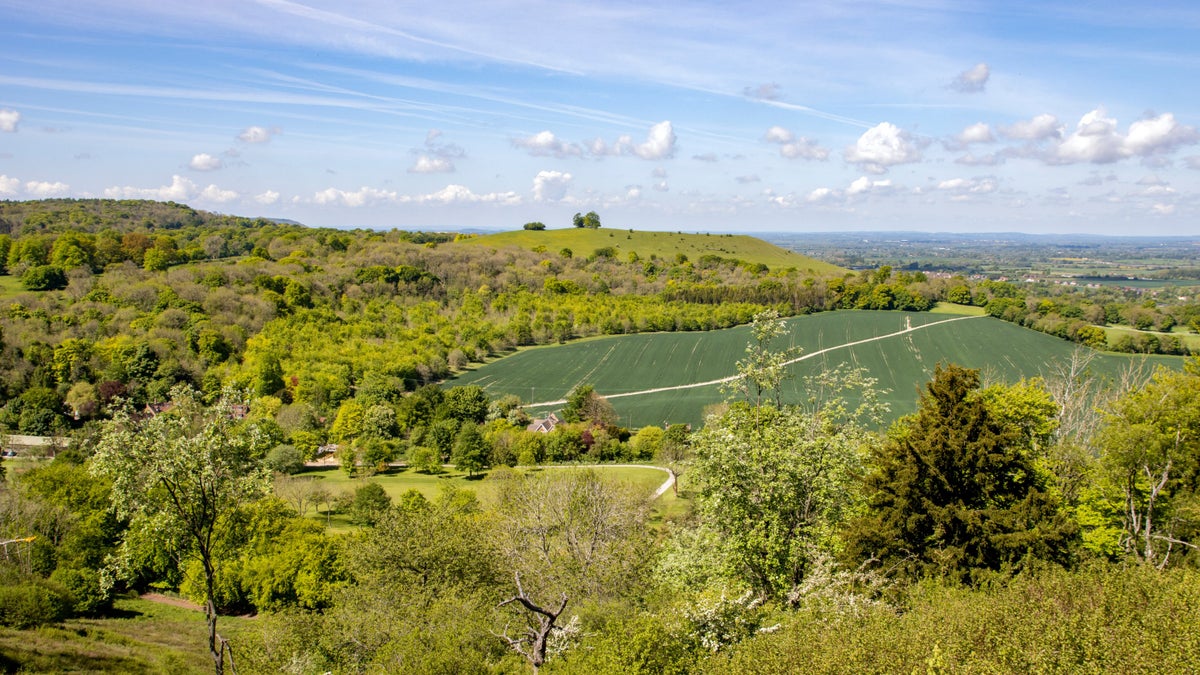 Coombe Hill at the Chilterns | Bucks | National Trust