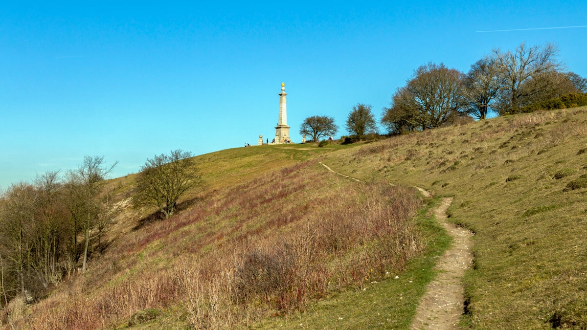 Coombe Hill Woodland Walk | Buckinghamshire | National Trust