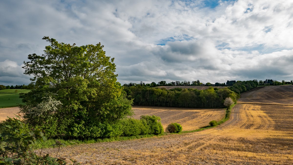 West Wycombe ridges & bottoms walk | National Trust