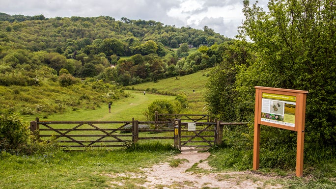 Pulpit Hill and nature walk | Chilterns | National Trust