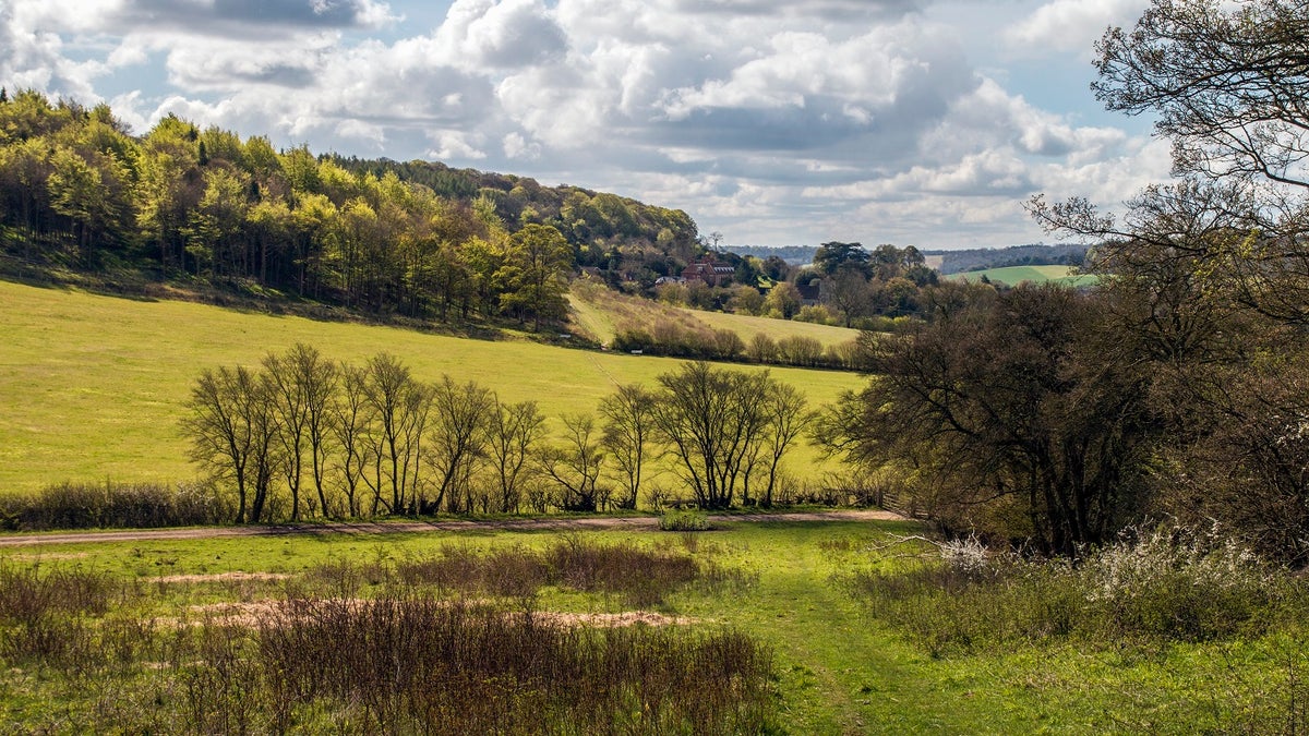 Bradenham countryside trail | Chilterns | National Trust