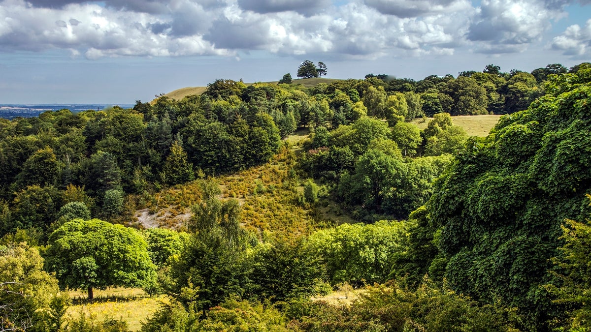 Exploring the Chiltern Escarpment | National Trust