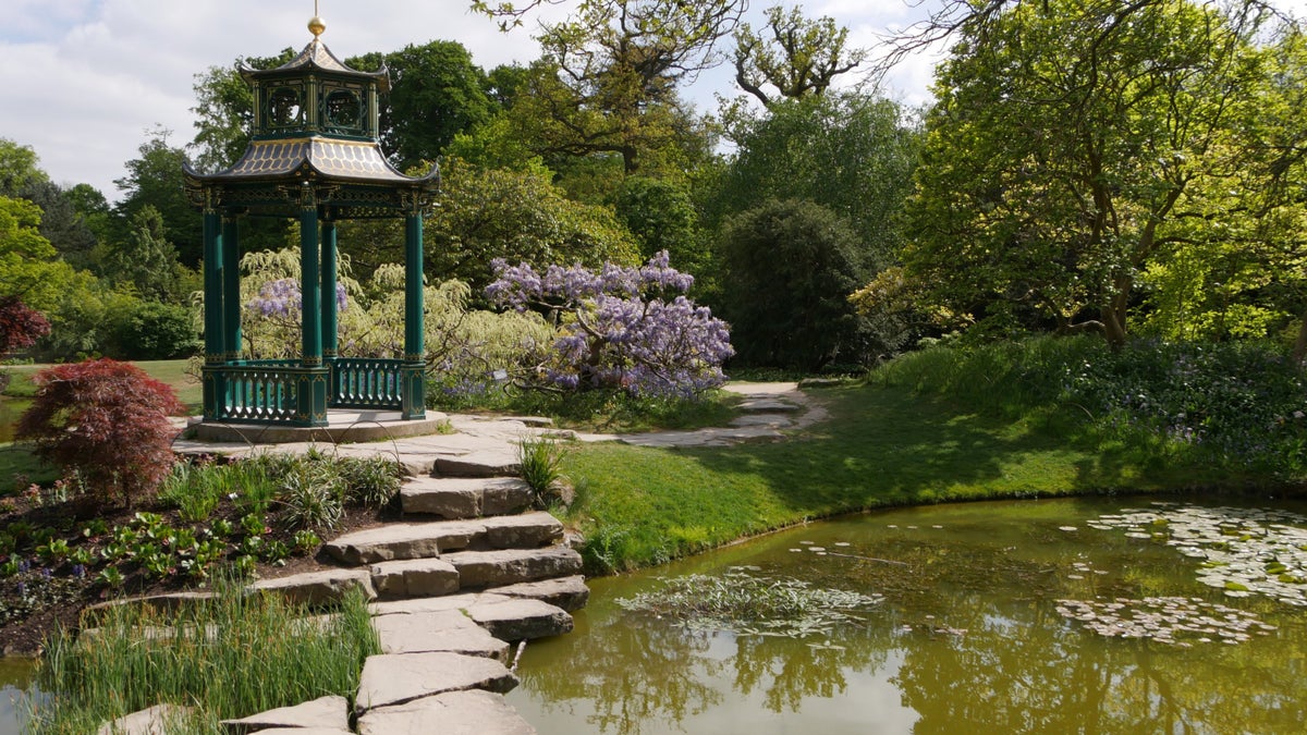 Our conservation projects at Cliveden | National Trust