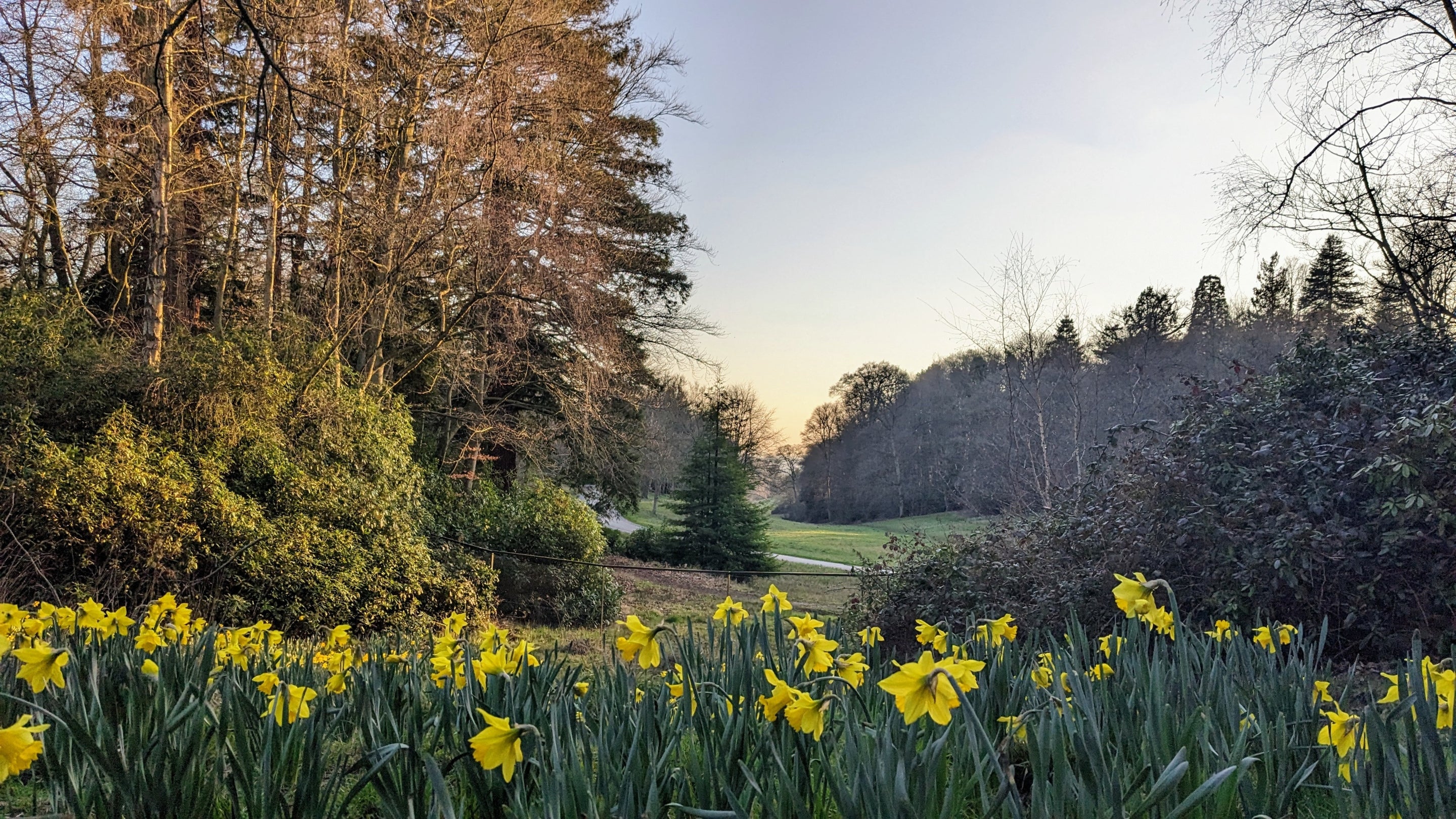 Cliveden woodland walk | Buckinghamshire | National Trust