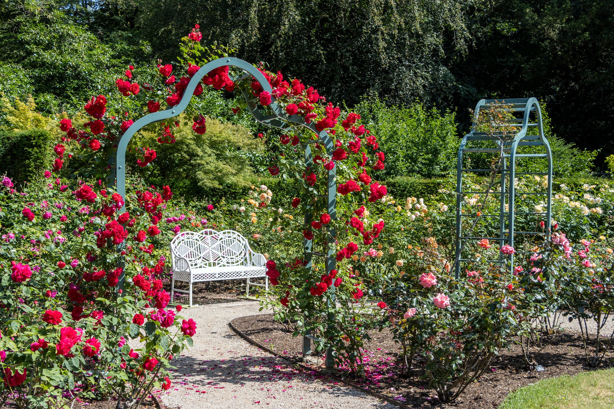 Visiting Cliveden's garden | Bucks | National Trust