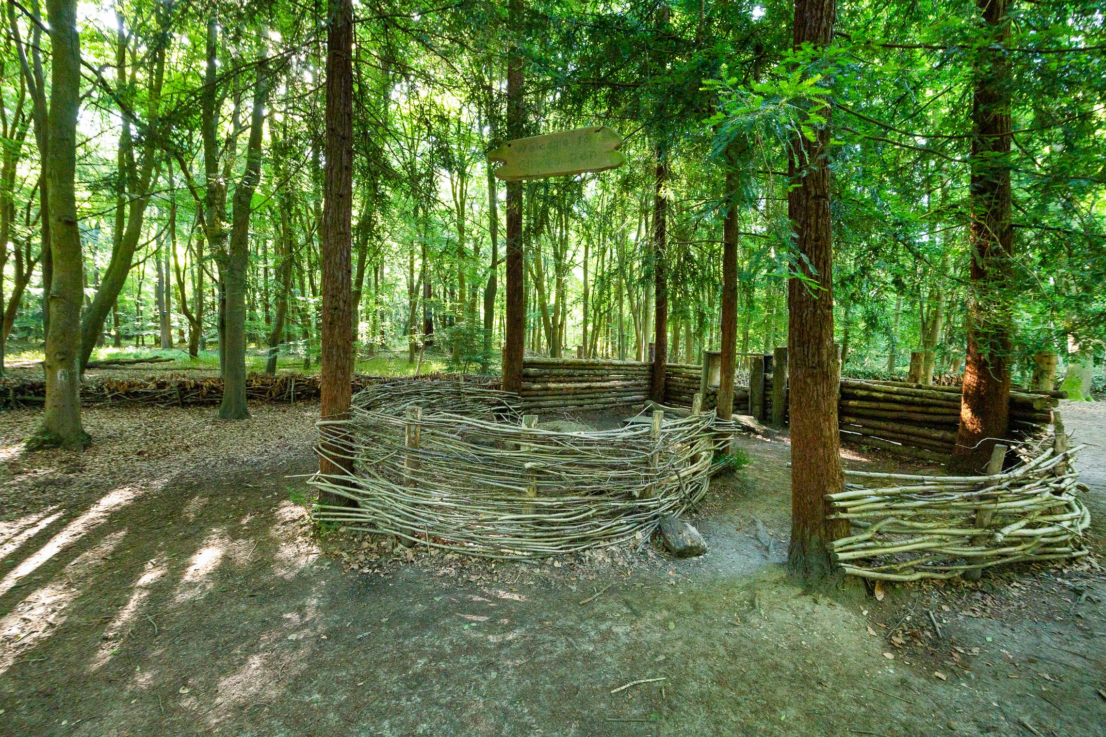 Visiting Cliveden’s woodlands | Bucks | National Trust