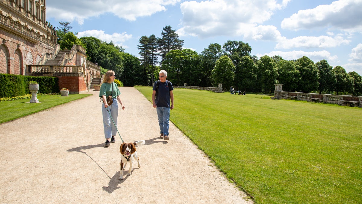 Dog walking at Cliveden | Buckinghamshire | National Trust