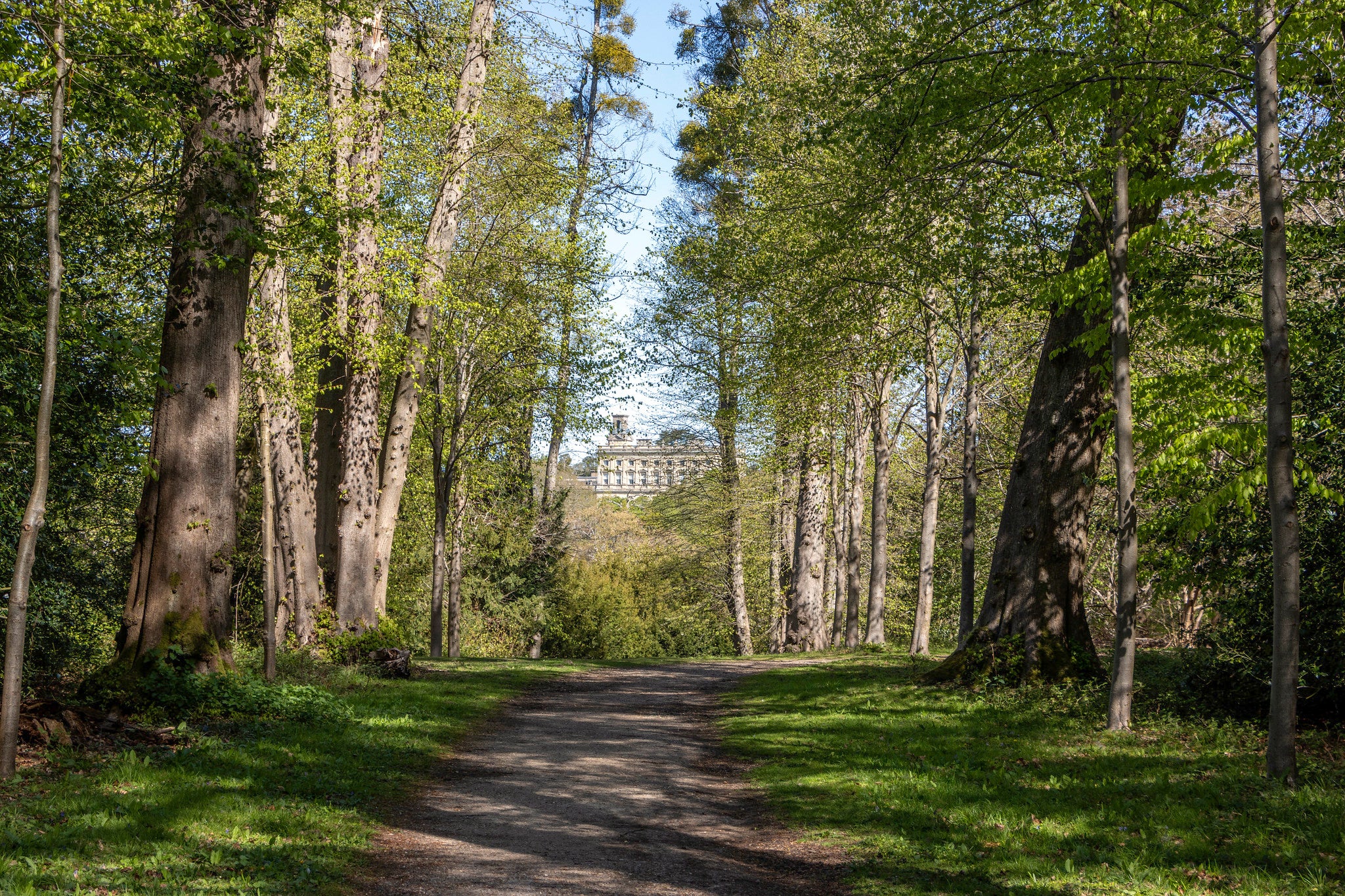 Cliveden 3-mile wood and river walk | Bucks | National Trust