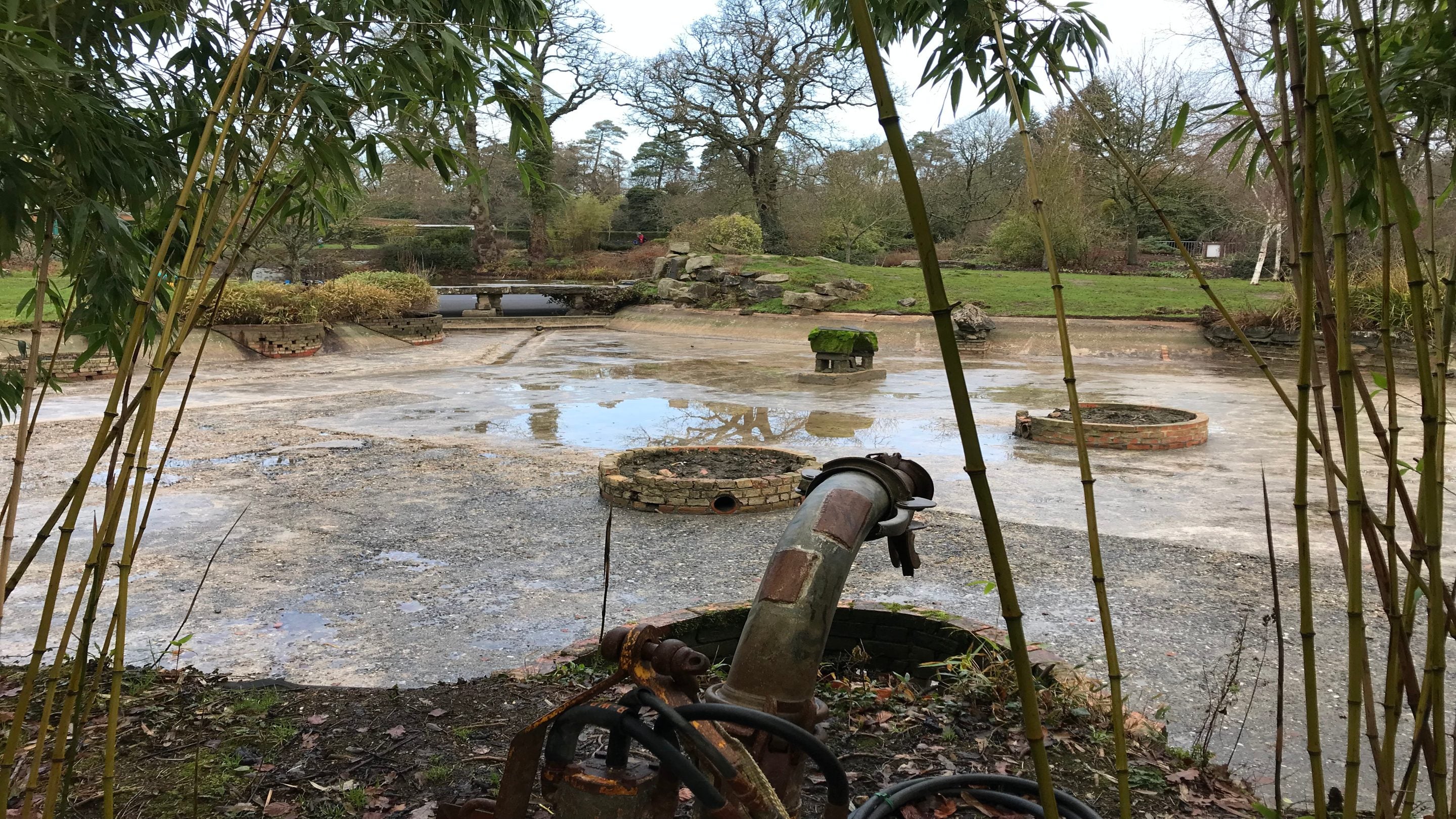 Visiting Cliveden's garden | Bucks | National Trust