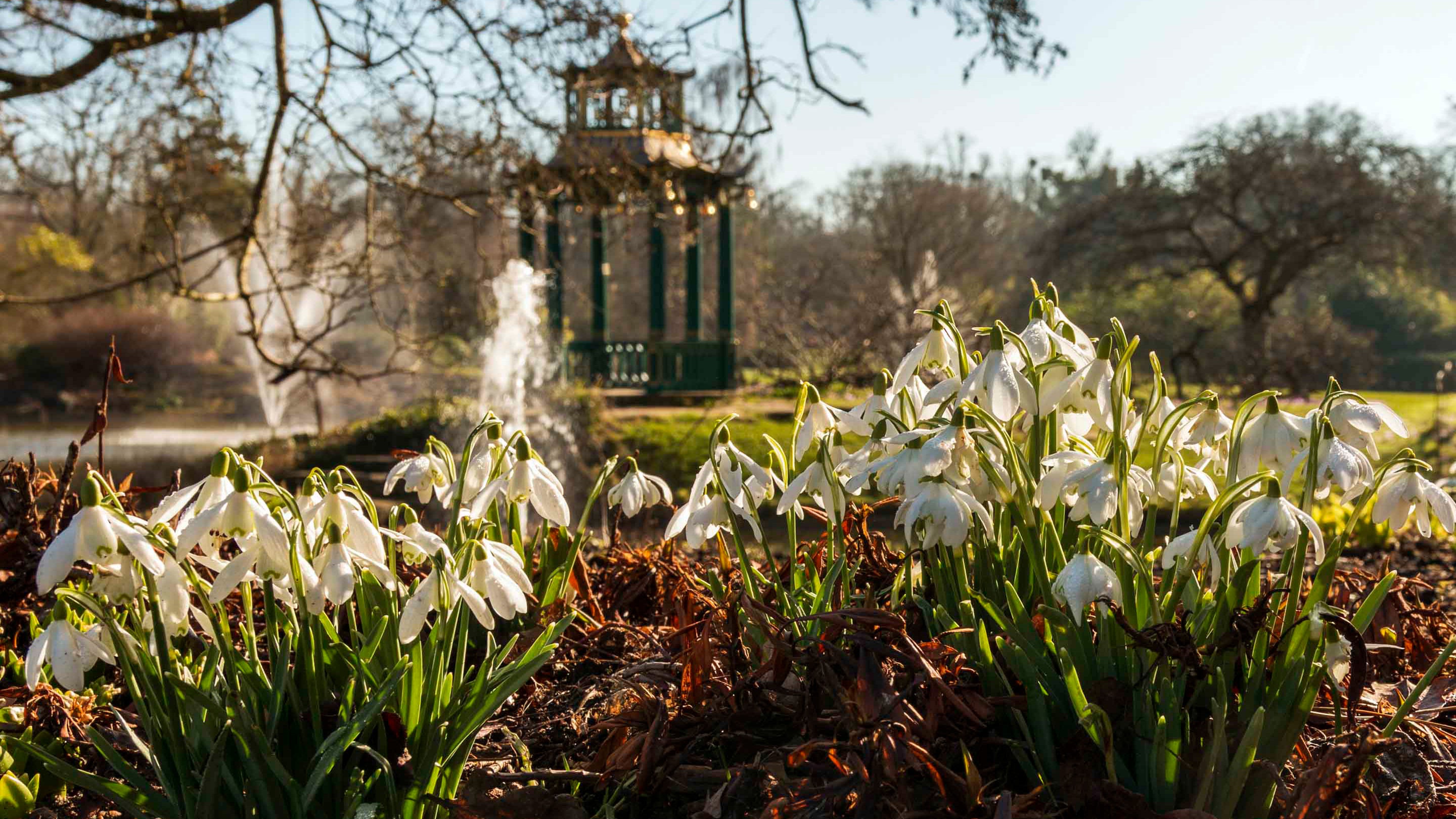 Visiting Cliveden's garden | Bucks | National Trust