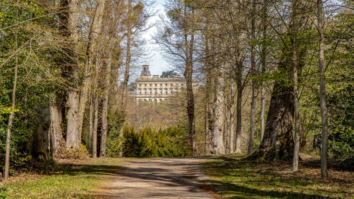 Cliveden easy woodland and countryside walk | National Trust