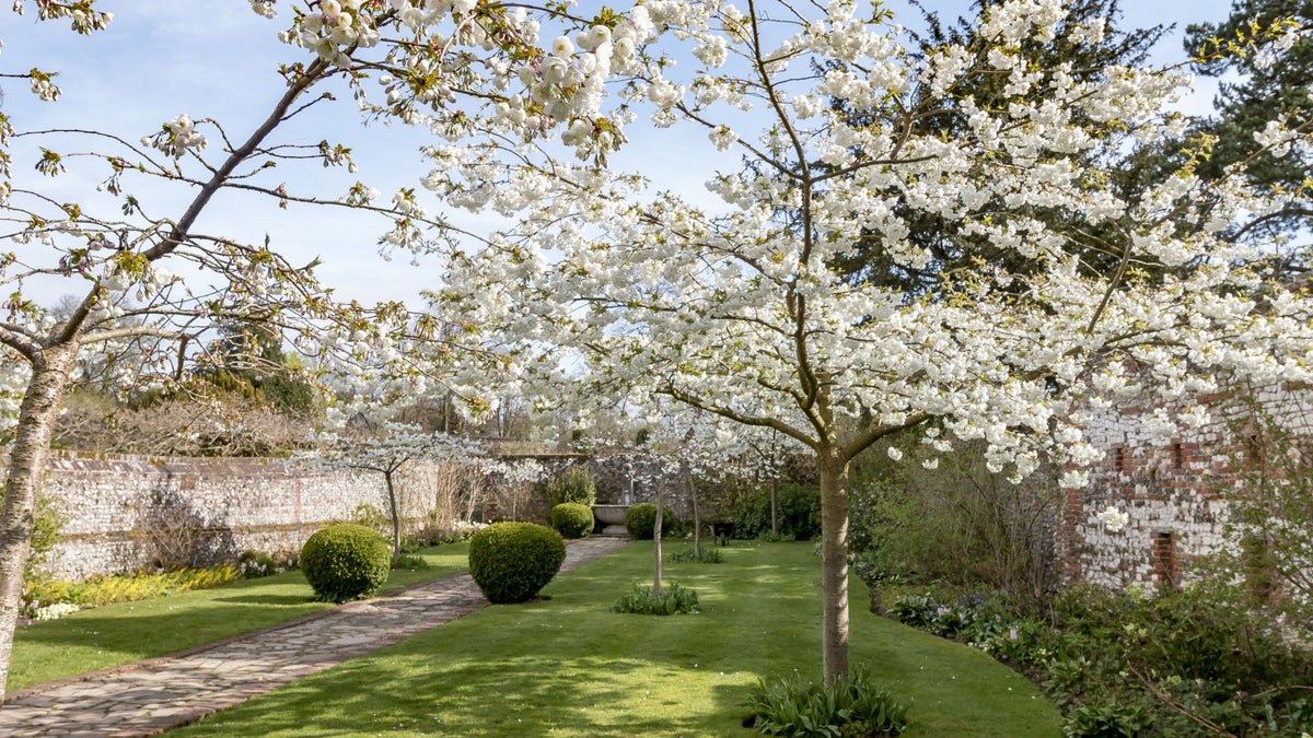 Discover the UK's natural environment | National Trust