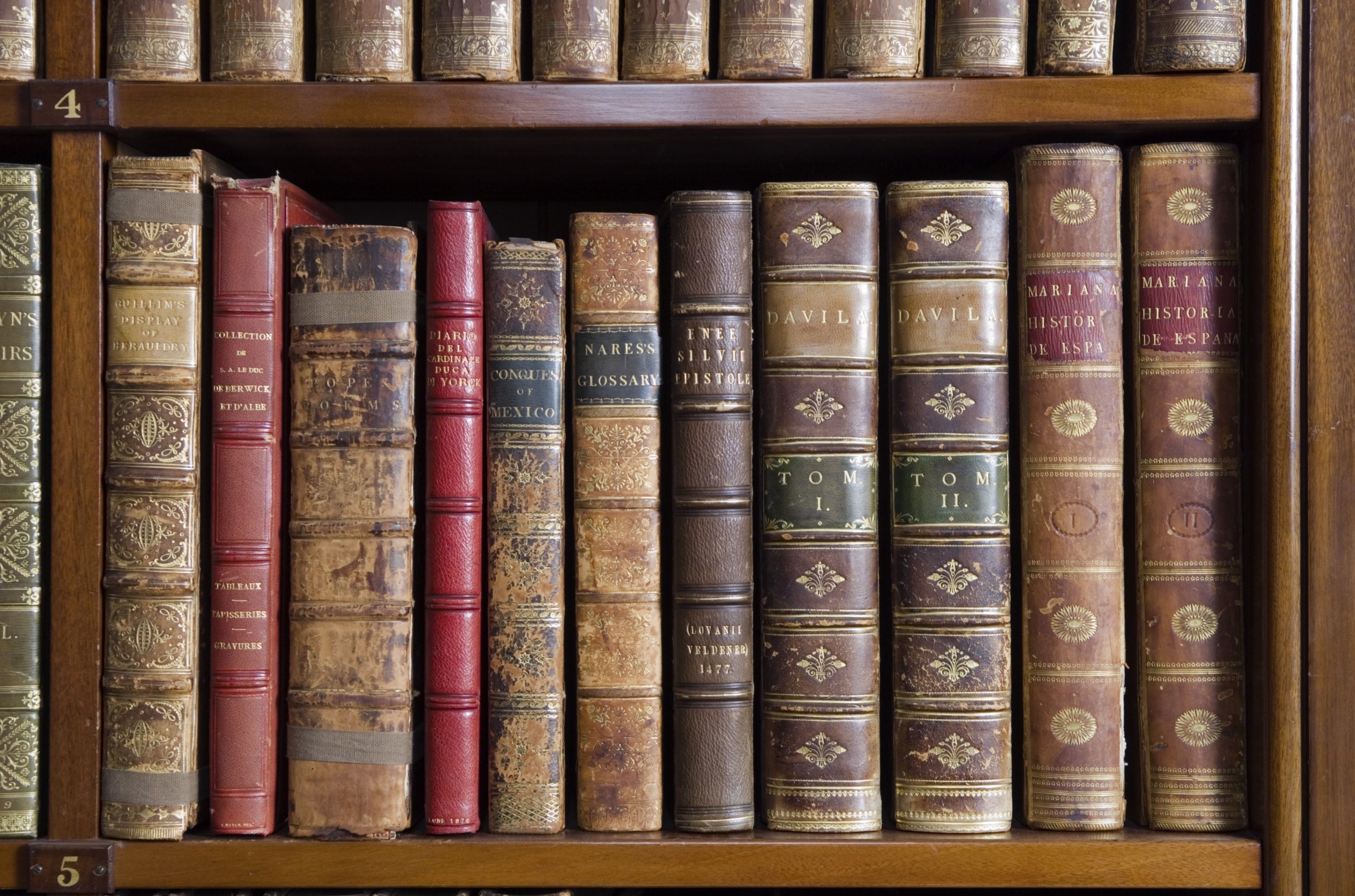 Days out with kids Hughenden | National Trust