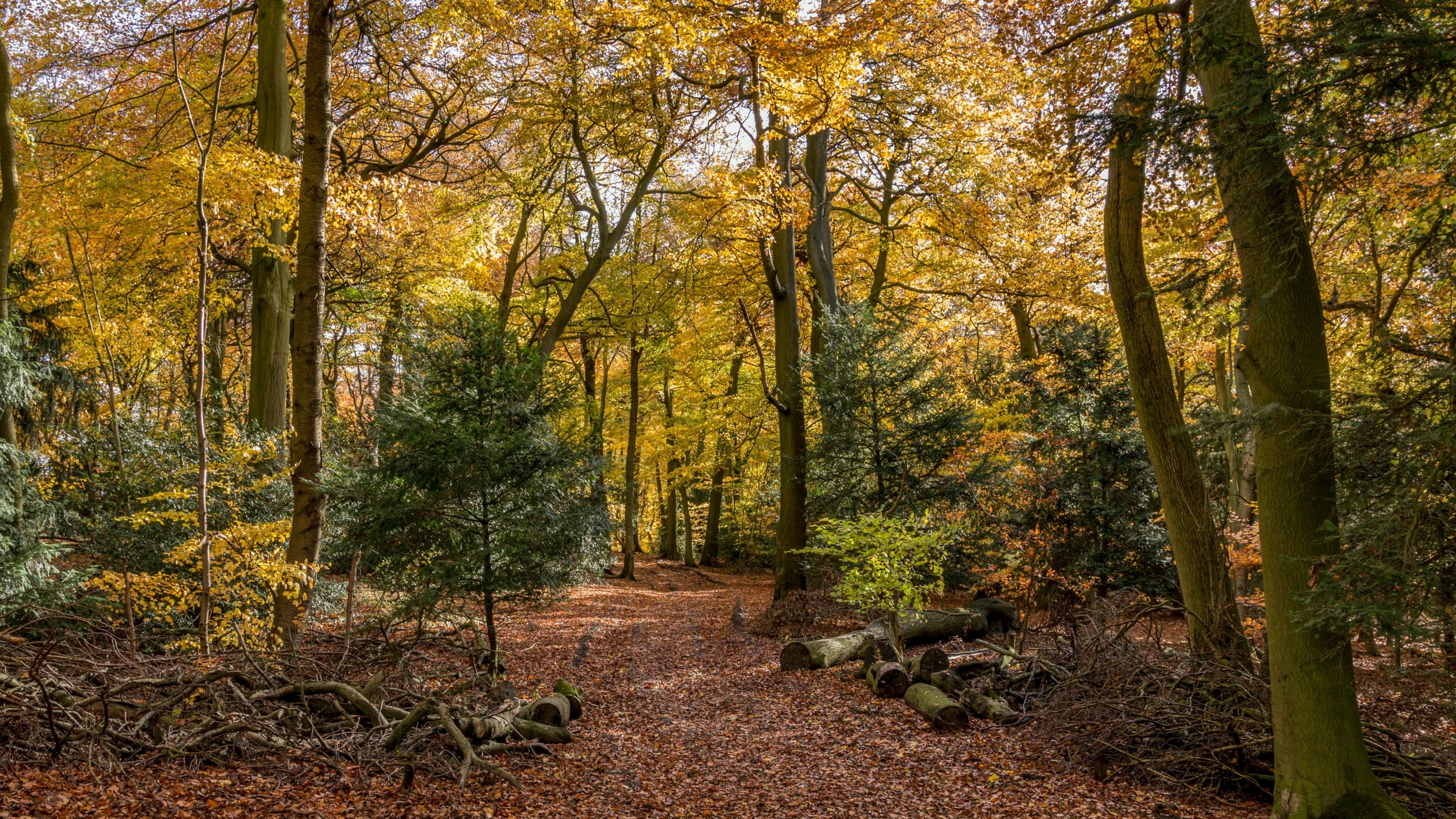 Hughenden | Buckinghamshire | National Trust