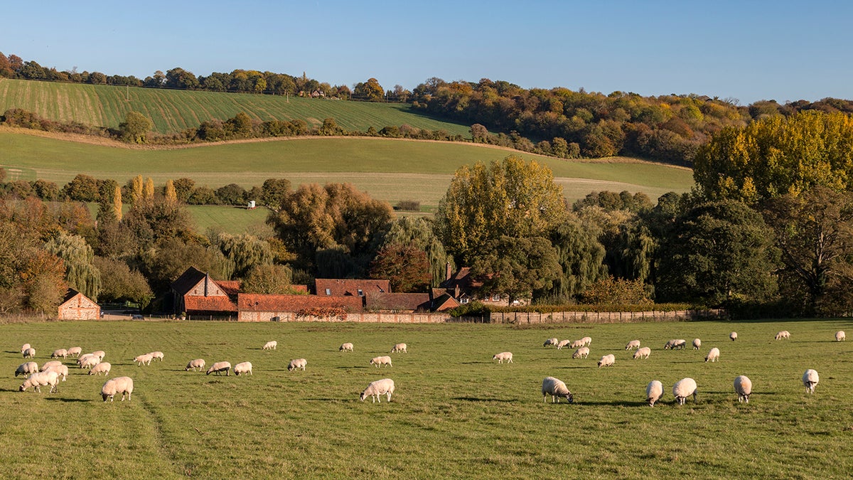 Hughenden Manor estate views walk | Bucks | National Trust