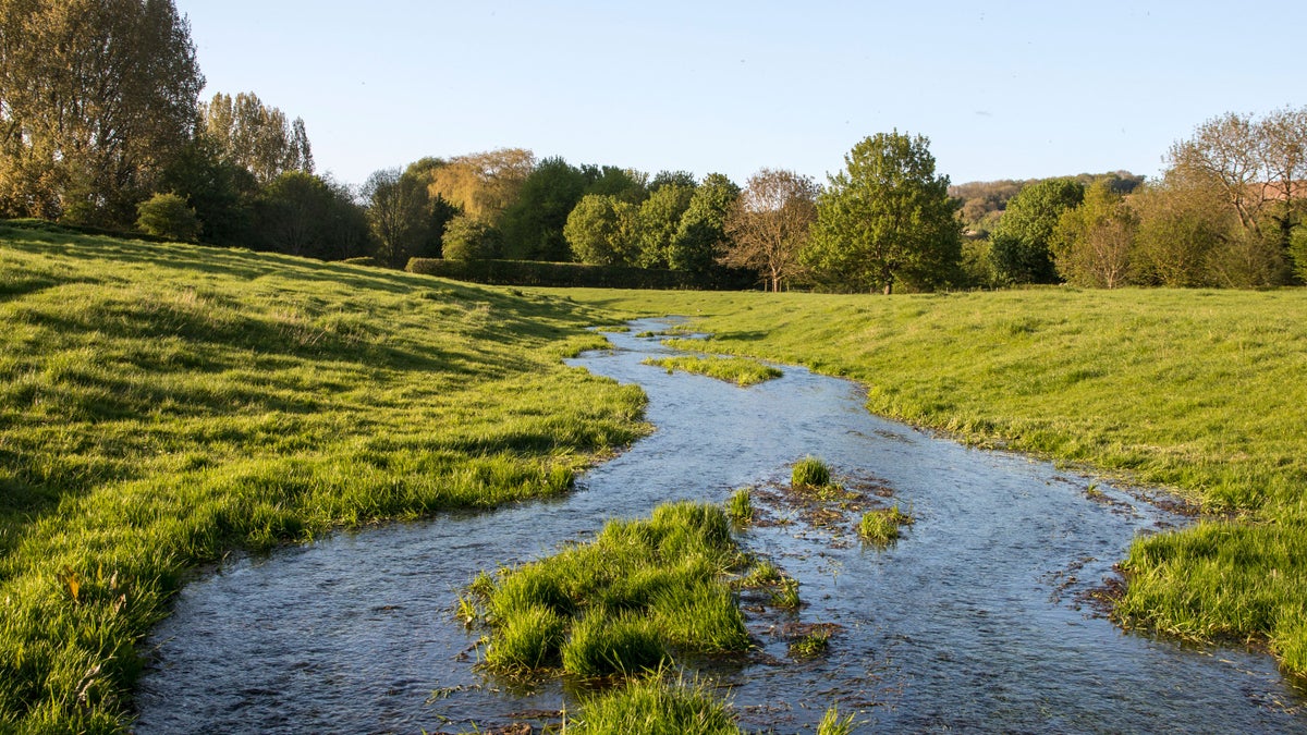 Boundary walk at Hughenden | Bucks | National Trust