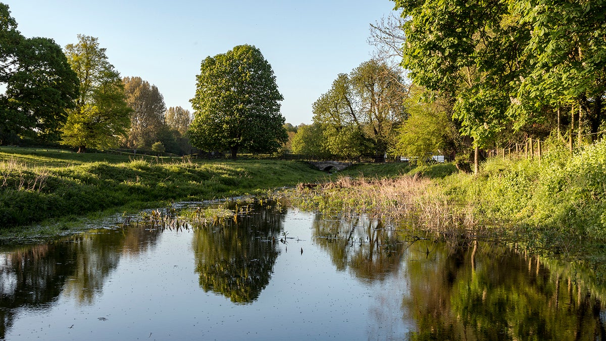 Boundary walk at Hughenden | Bucks | National Trust