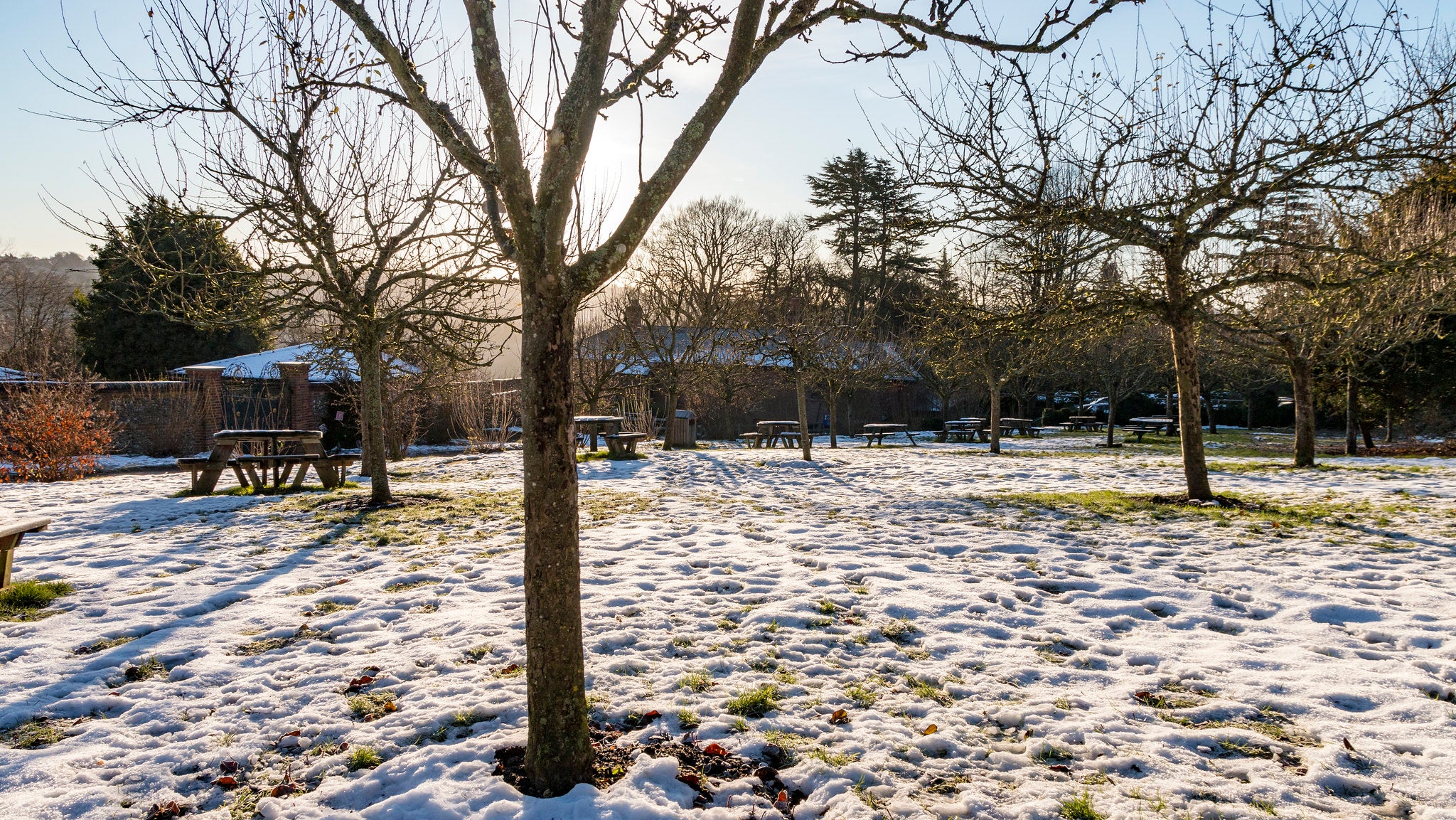 The garden at Hughenden | Buckinghamshire | National Trust